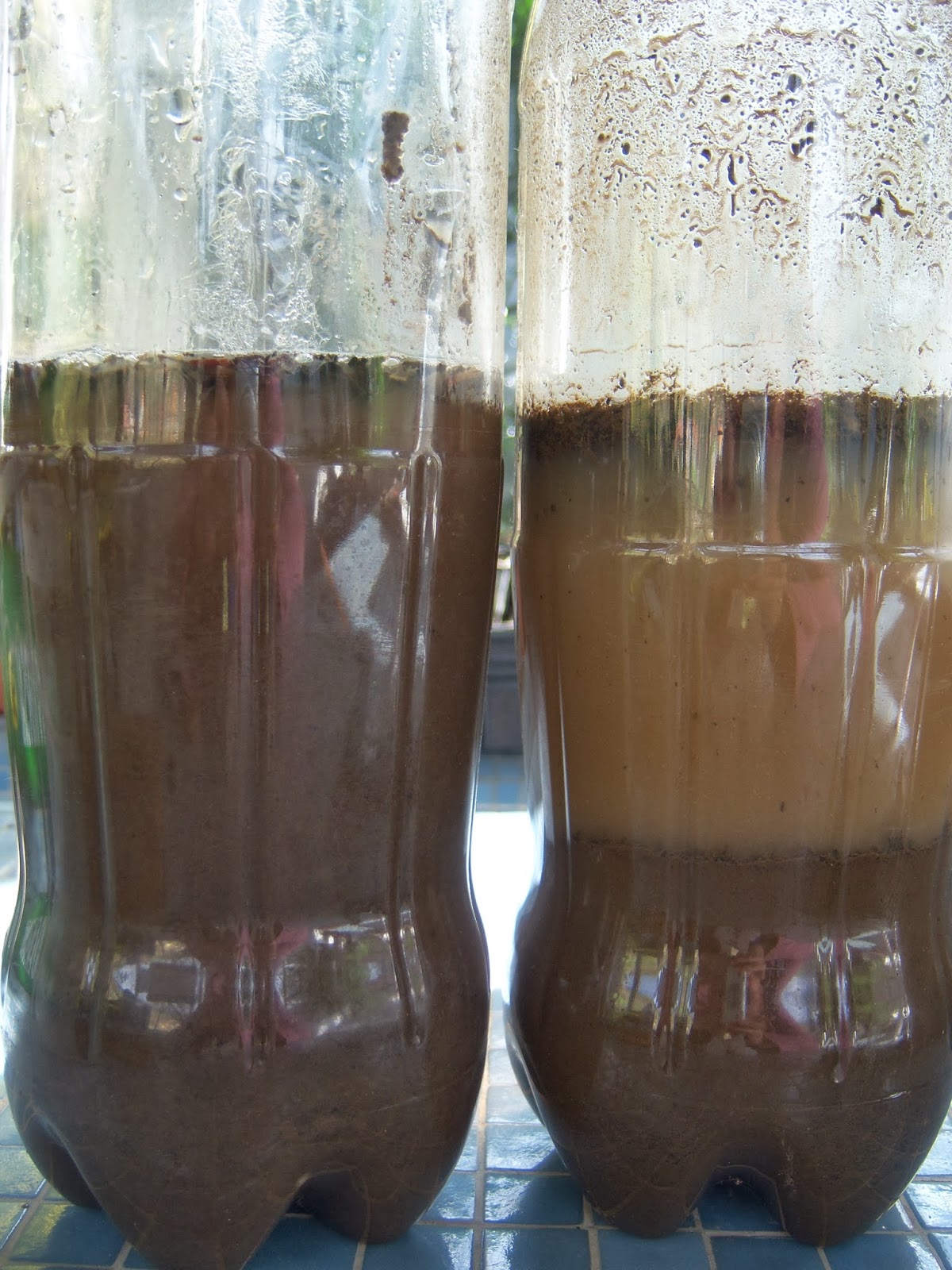 Resultado del experimento saber que tipo de tierra tenemos