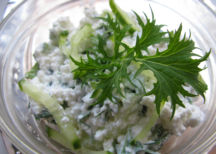 Gurmaaniamps: Kohupiim kitsepiimast