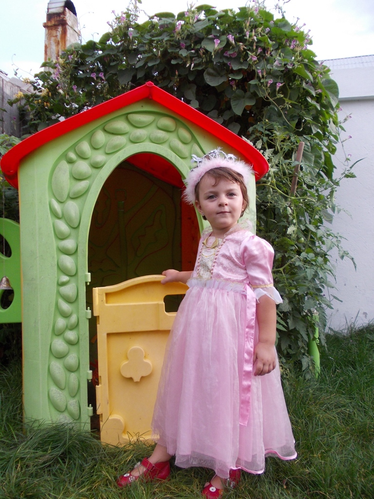 Madame Carnaval: Costume Halloween