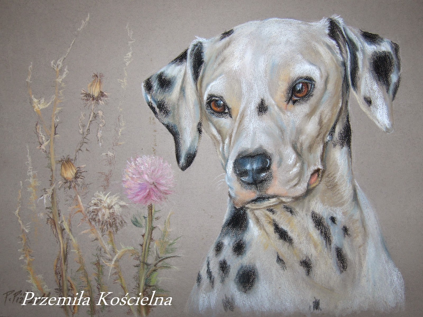 Canis Art Studio: PORTRETY PASTELOWE