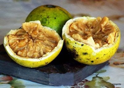 Bilhete de Identidade da Fruta: Fruto Maboque