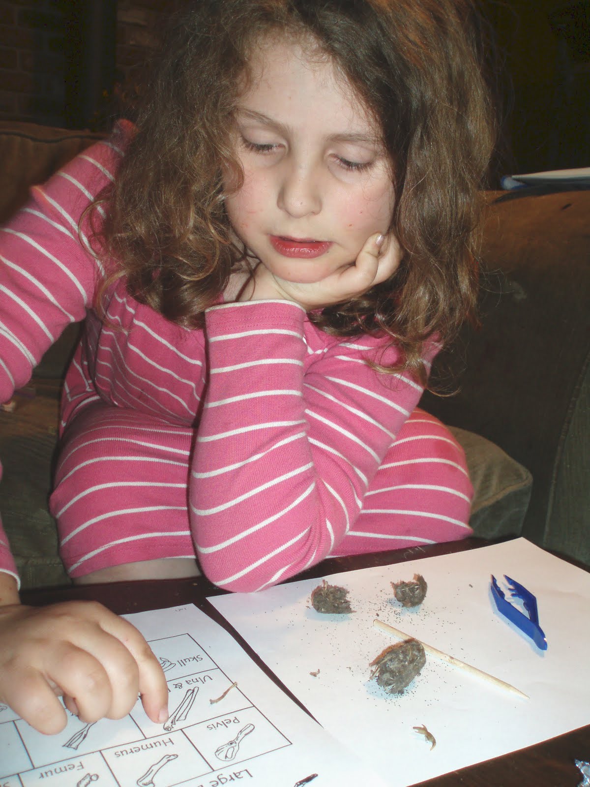 Our Small Corner: Fairy Houses and Owl Pellets...