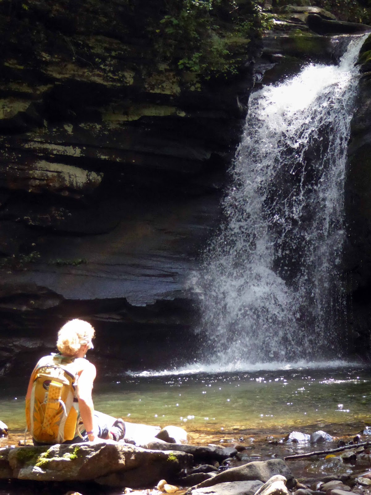 Charlottesville Chapter of the Potomac Appalachian Trail Club: Seneca ...
