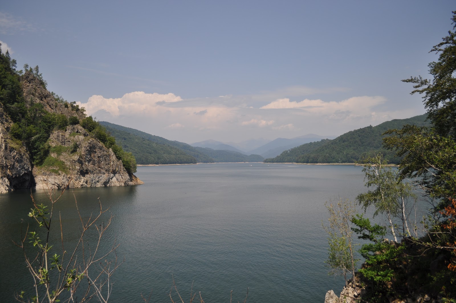 Poze, Natura, Animale, Plante, Romania, Valcea, Ionut Ungureanu