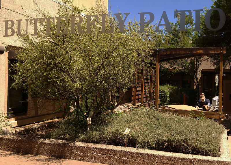 Tucson's Pocket Parks