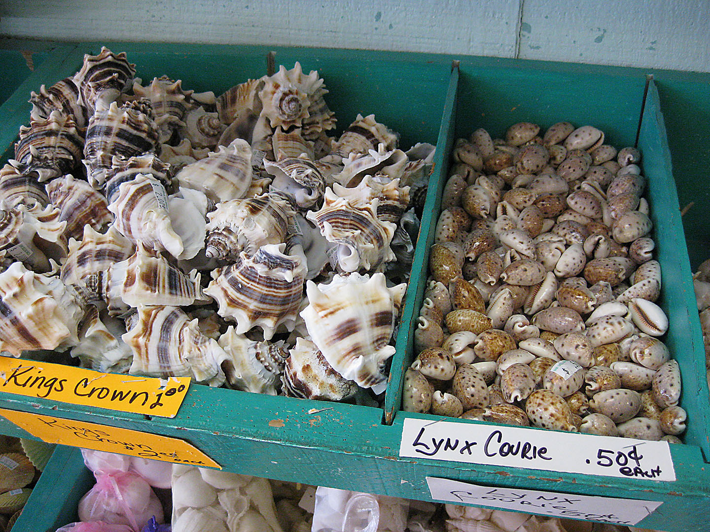 Sanibel Island - Lighthouse Beach and the Seashell Museum