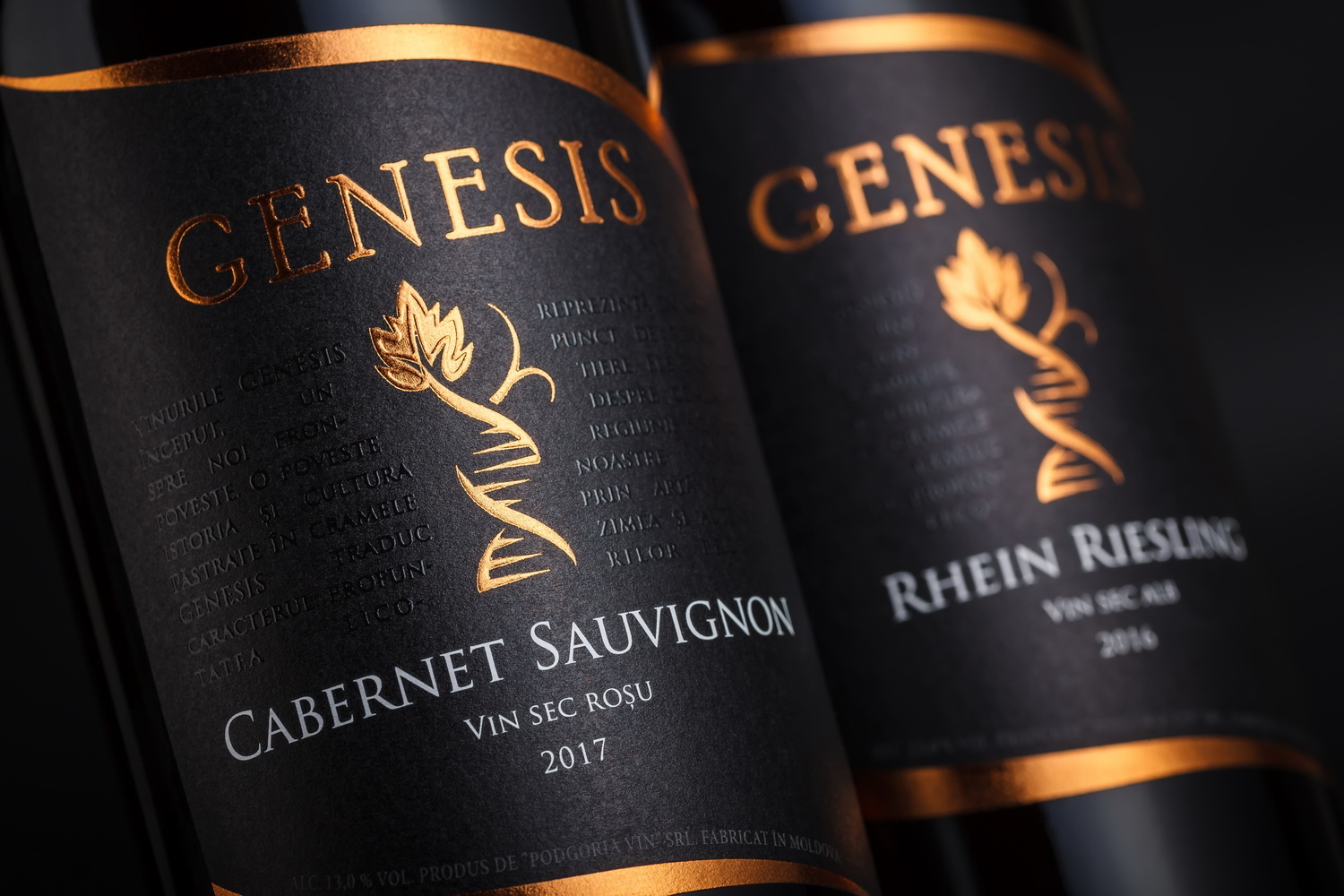 Genesis – Packaging Of The World