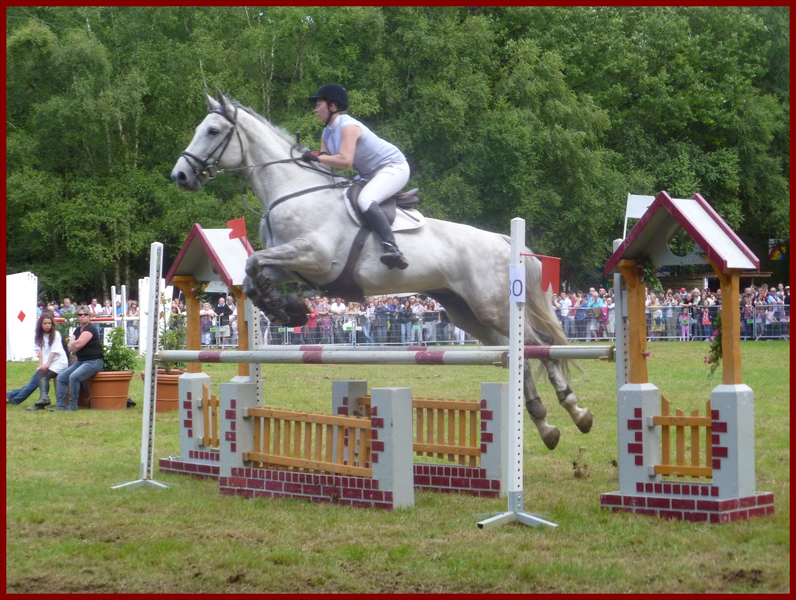 Nature et Vénerie - Carine Thouvenin (Lumiixx): Fête du Cheval - Forges ...