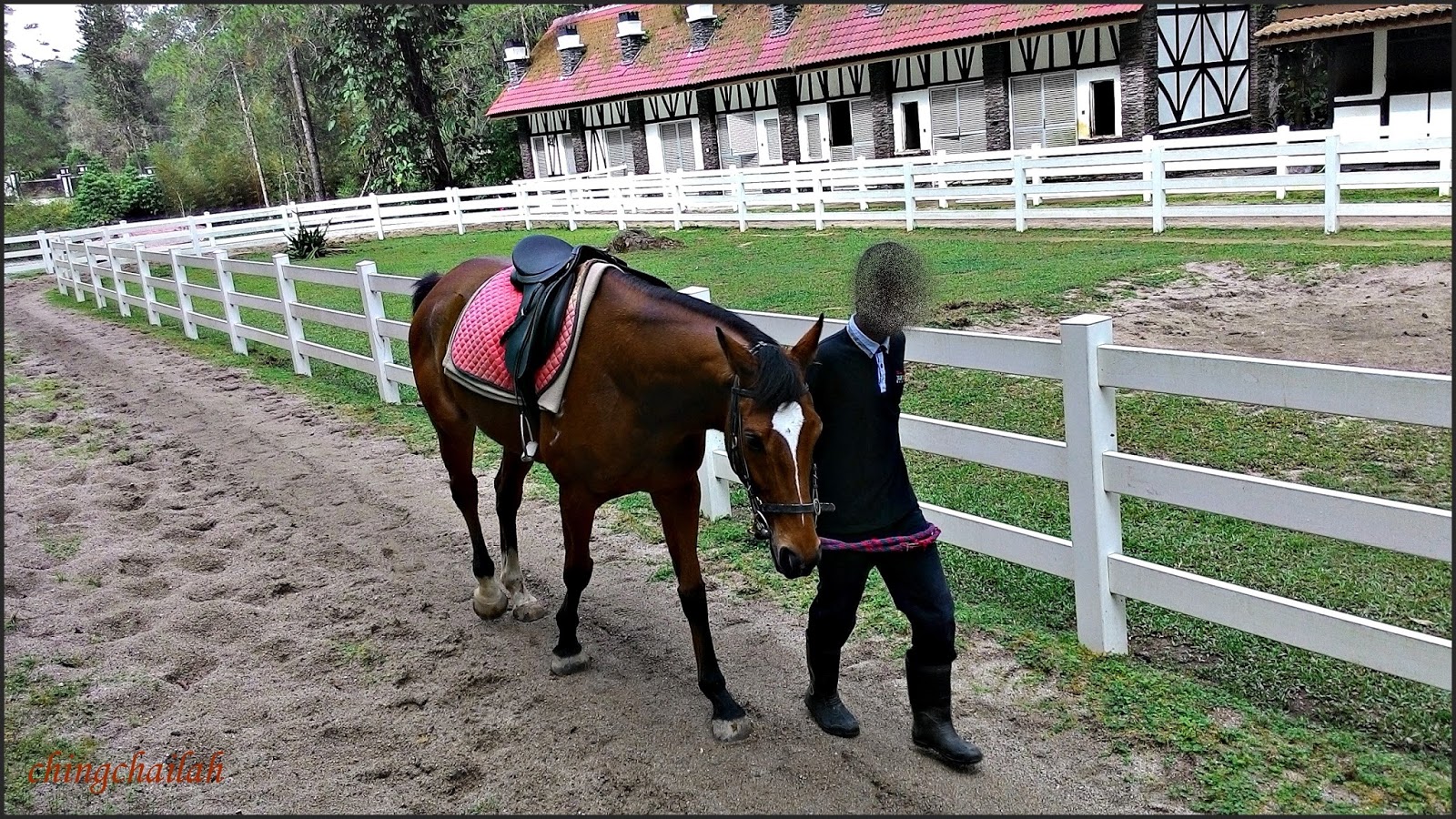 Simple Living In Nancy: Visit To The Paddock In Fraser's Hill.