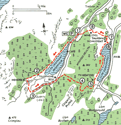 Where the Wild Things Are: Walking / Kayaking Llyn Crafnant and Llyn ...
