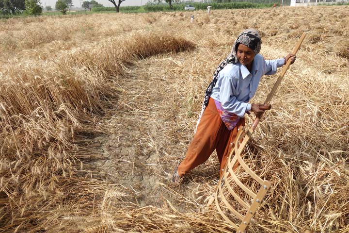 Scythe Connected: Sowing seeds for a scythe revolution