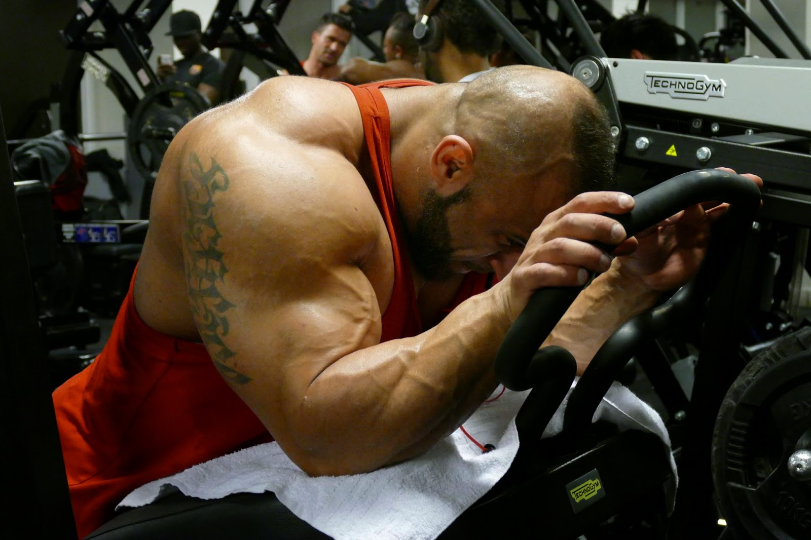 Muscle Lover: Lebanese-Canadian IFBB Pro bodybuilder Fouad Abiad