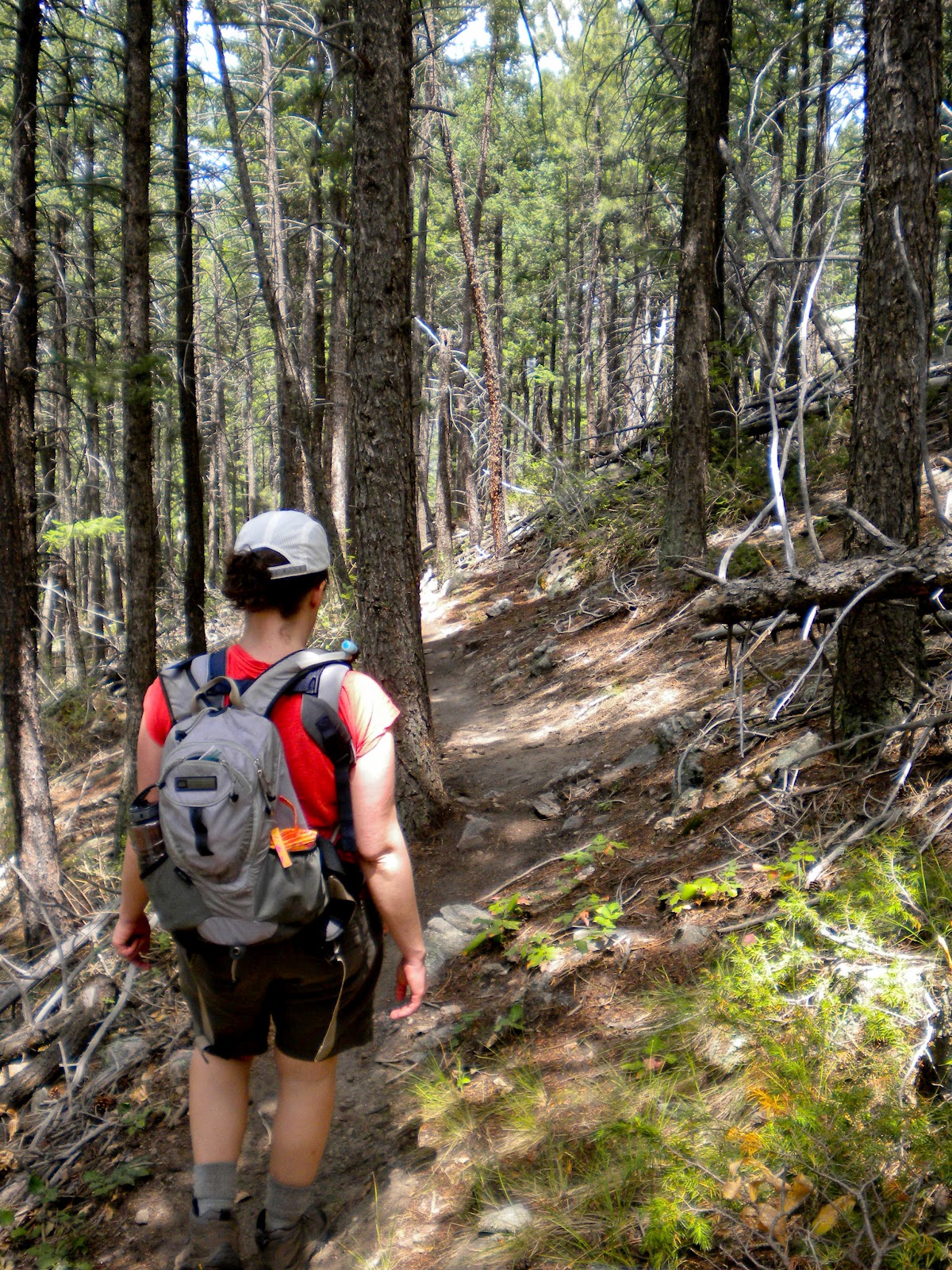 Trail and Park Reviews: Denver Mountain Parks, hike in Morrison ...