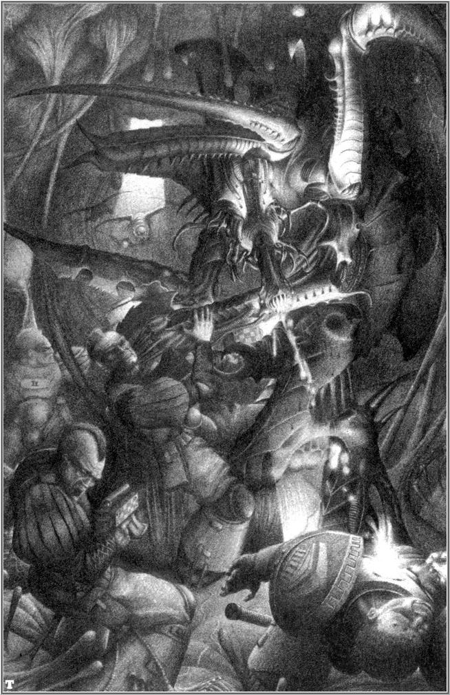 THE CONVERTORUM: ADRIAN SMITH