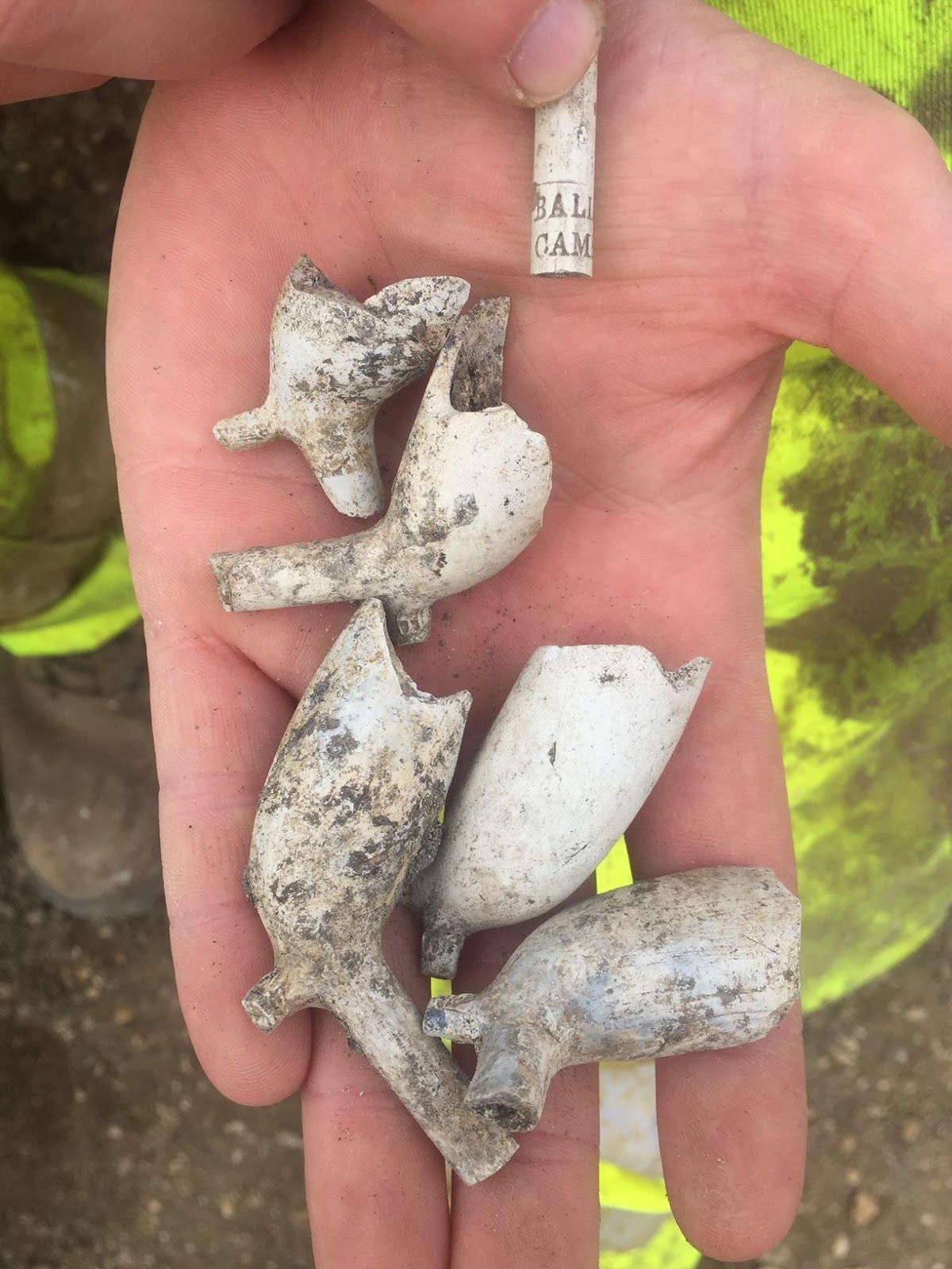 Pre-Construct Archaeology Blog: Tobacco and Cure-Alls: A Post-Medieval ...