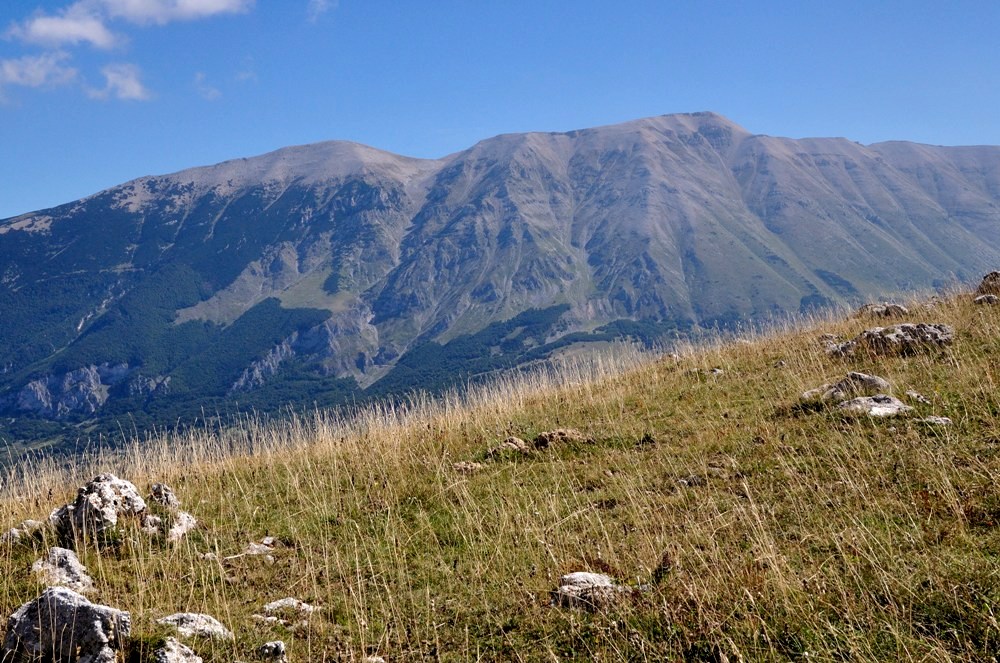 Dentro la Natura: Monte Morrone della Majella da passo San Leonardo