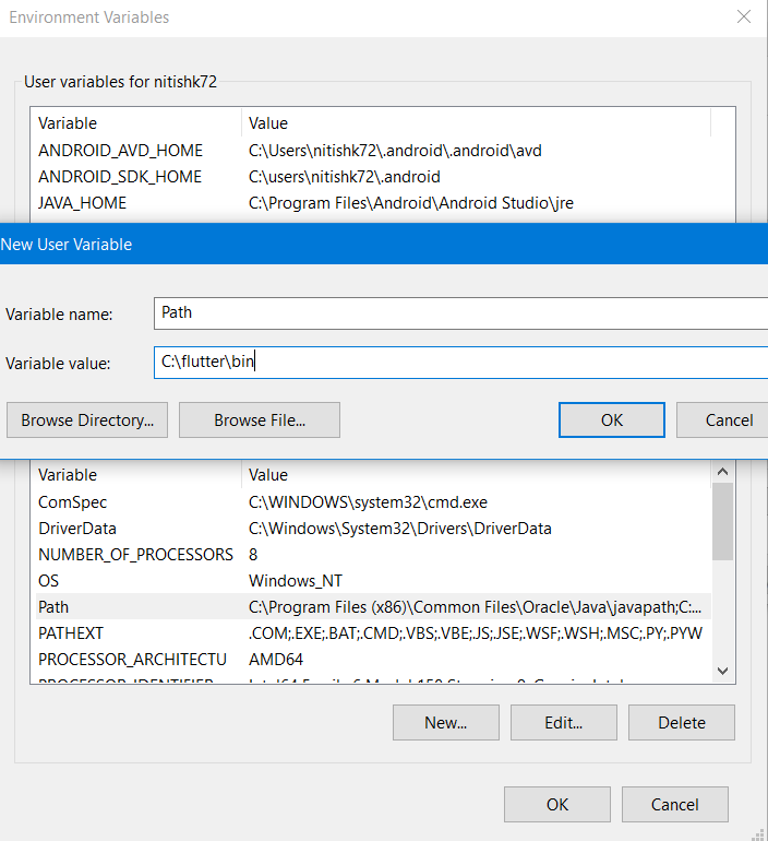 How to Setup Flutter on Windows?