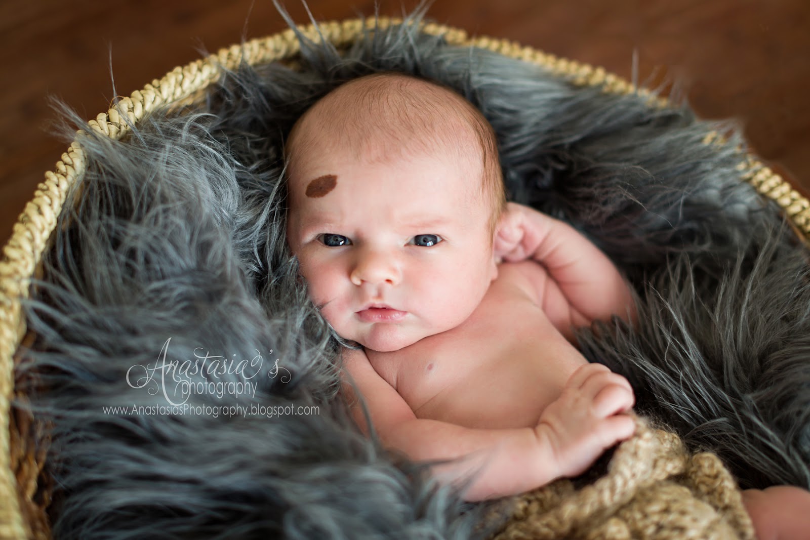 Anastasia's Photography | photographers rochester ny | Newborn, Baby ...