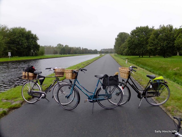 Bicycle culture growing in the SF Bay Area (San Jose, San Francisco ...