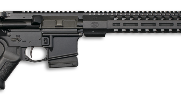 狩猟メモ: カリフォルニア規制対応のAR