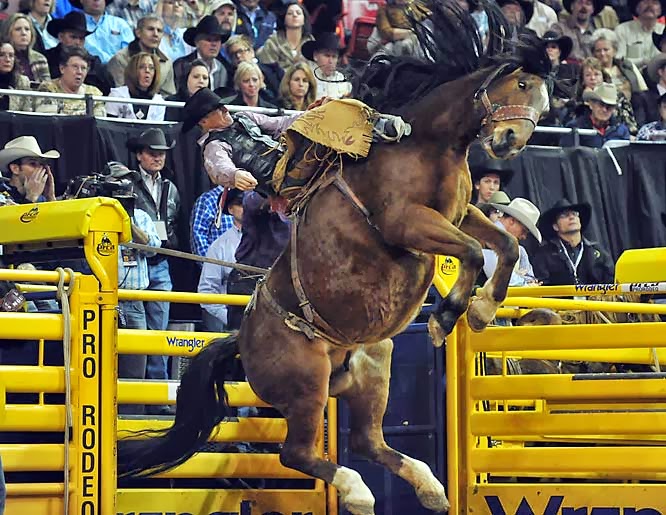 Rodeos: octubre 2013