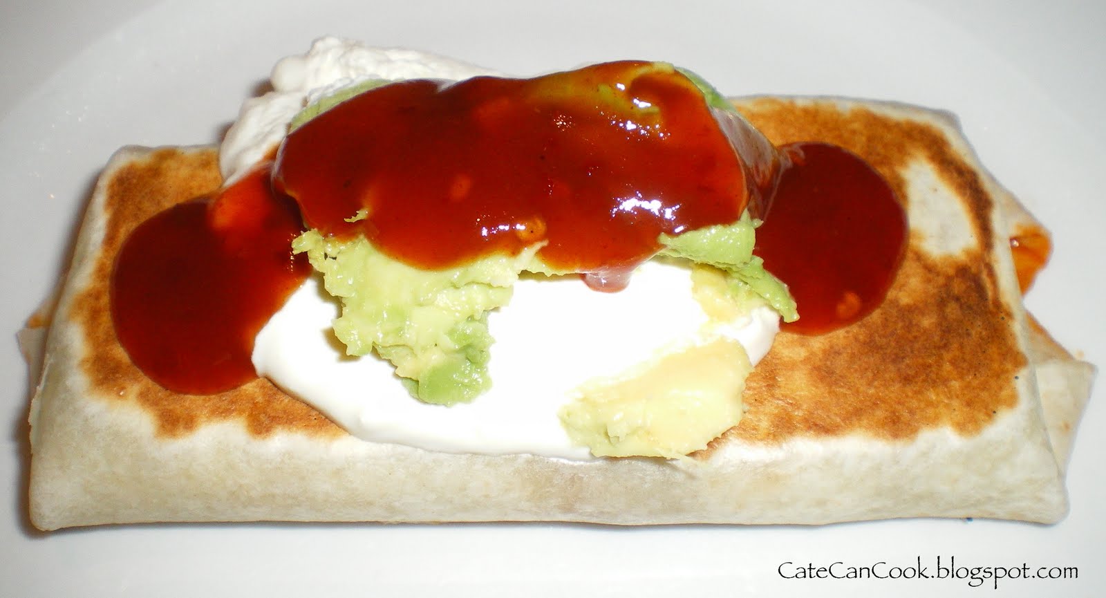 Cate Can Cook, So Can You!!: Shredded Chilli Beef Burritos