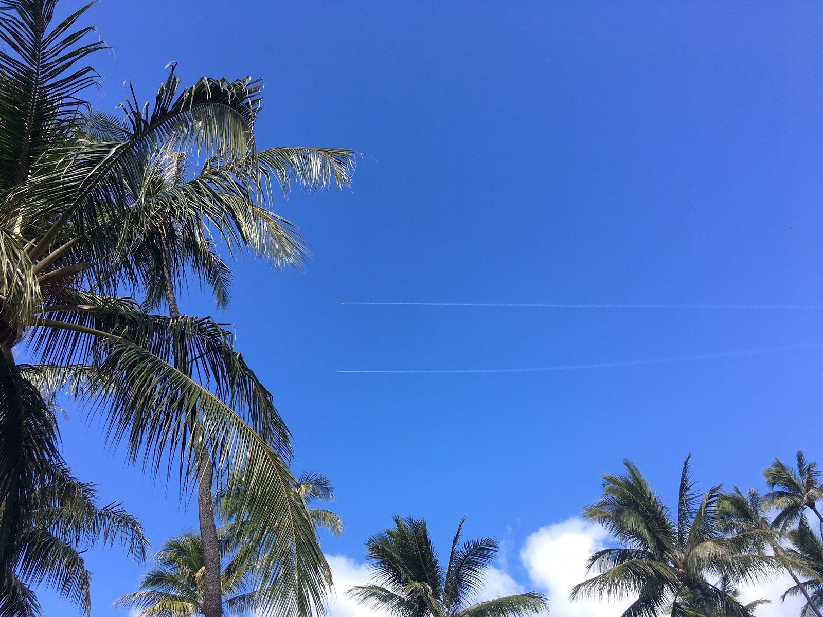 Kathryn's Report: Here's why all those fighter jets are flying over ...