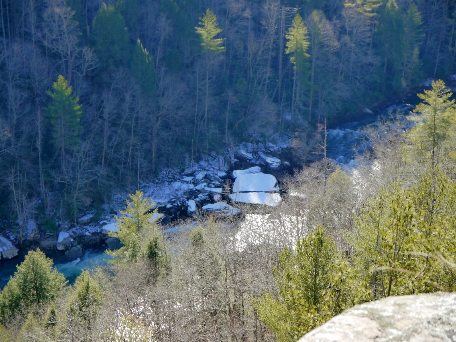American Travel Journal: Bridge and Point Trails - Obed National Wild ...