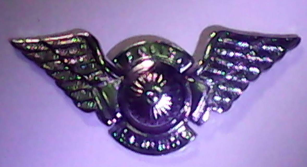 Produksi Pin/Emlem untuk semua Instansi