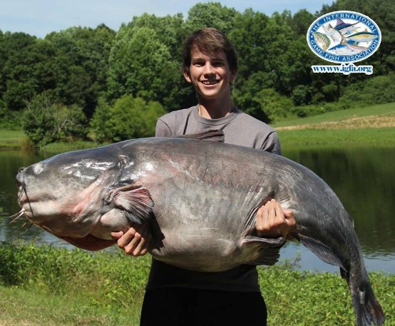 International Fishing News: US: caught a world record size blue catfish ...