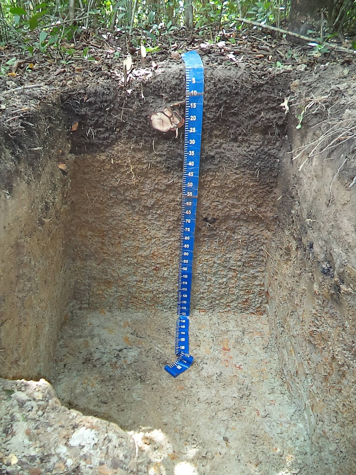 Suelos, ambiente y algo más: mayo 2015