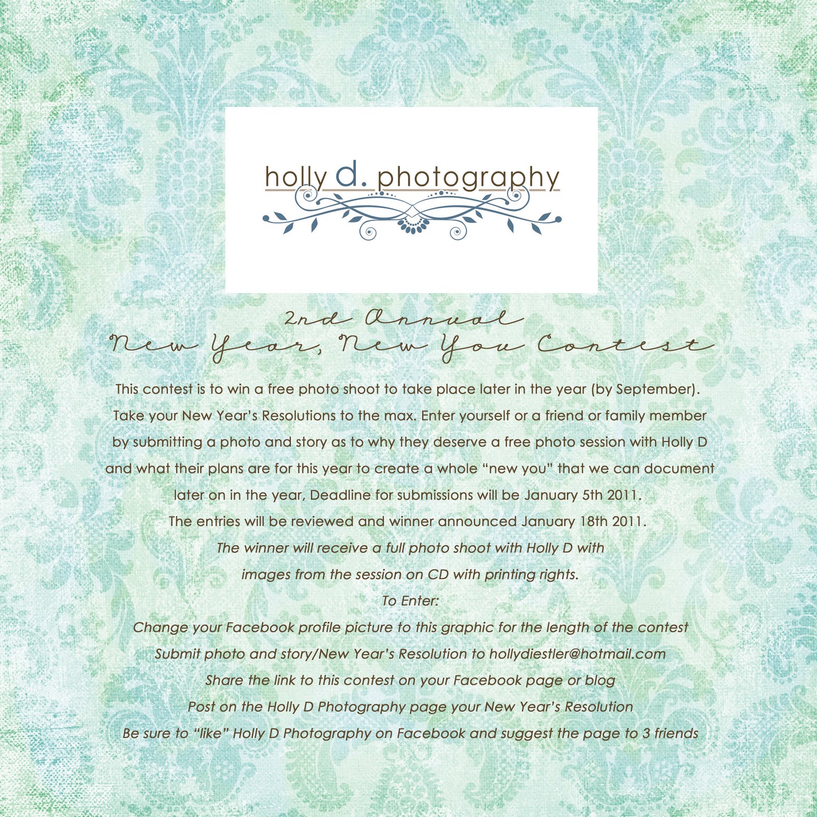 Holly D Photography & Designs