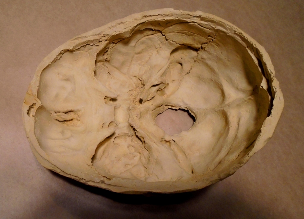 oase gips: Invata mai repede mai usor