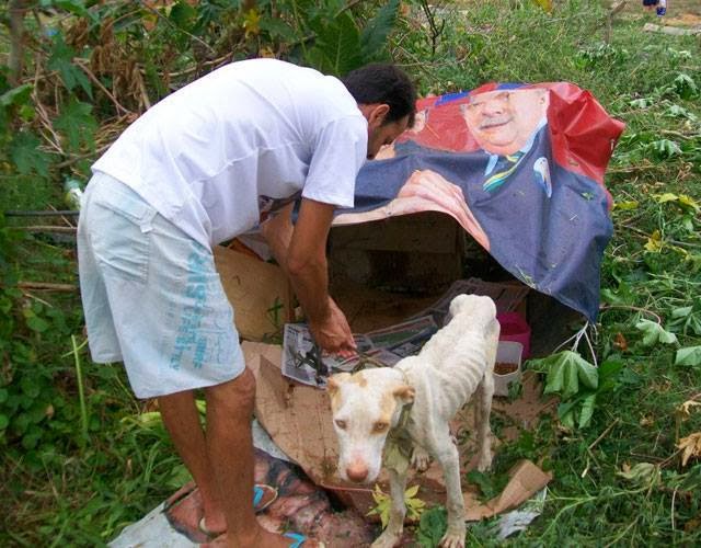 Amazing dog rescue (35 pics) | Amazing Creatures