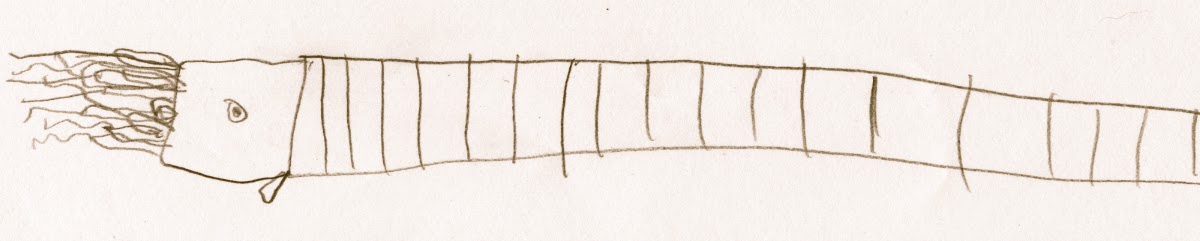 Life Before the Dinosaurs: Cameroceras (Part 2).