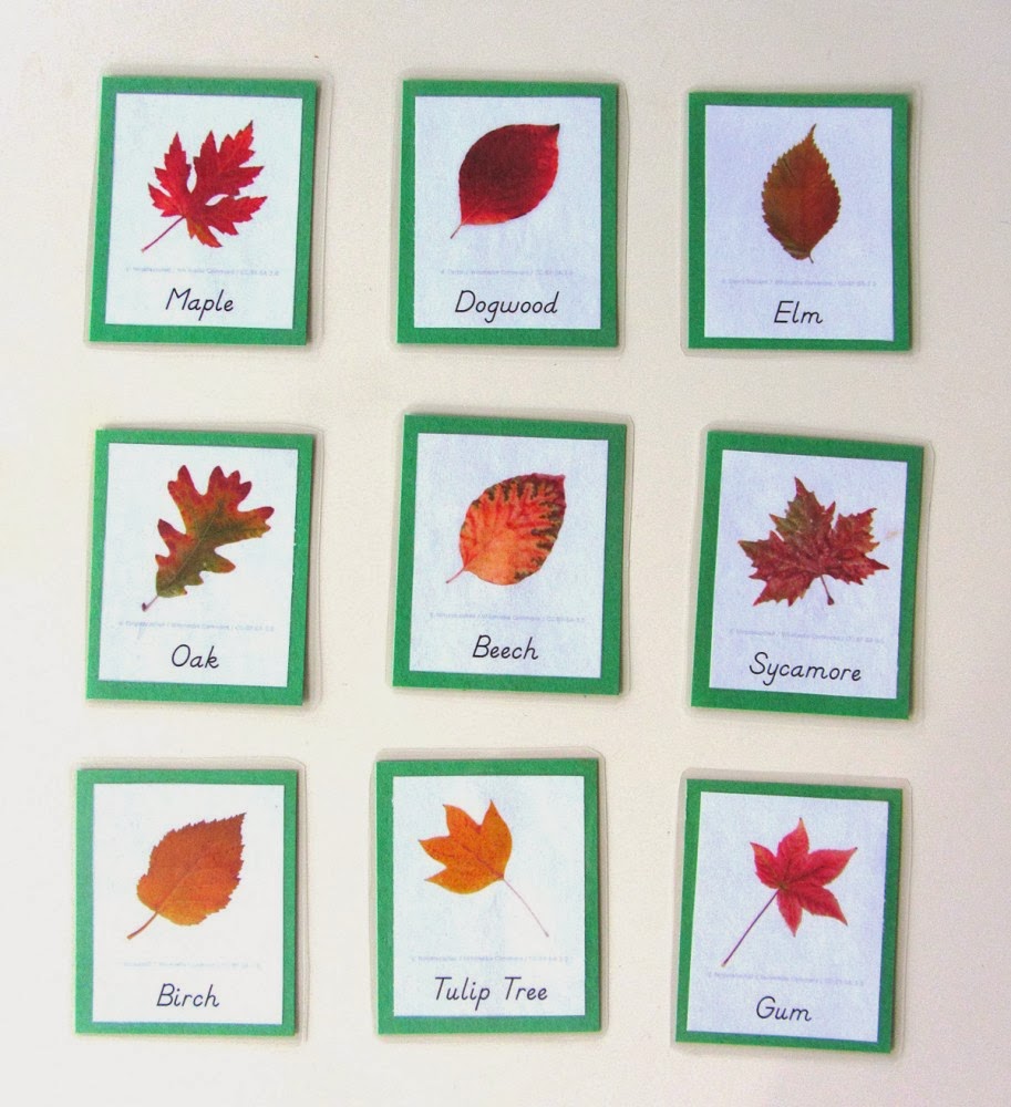 The Adventures of Six Hobbits: Autumn Leaf Identification Cards