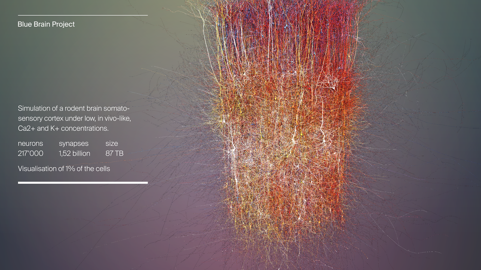 Large Scale & Interactive Scientific Visualization: Visualization of ...