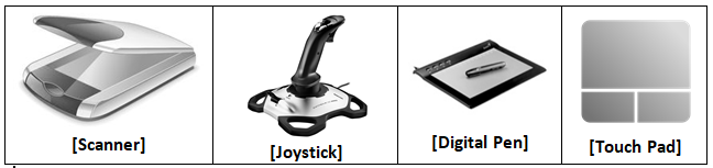 Input and Output Devices