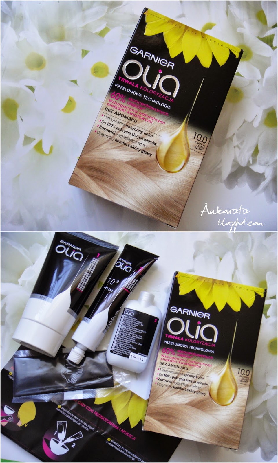 Garnier Olia odcień 10.0 bardzo jasny blond - Anek beauty, make up ...