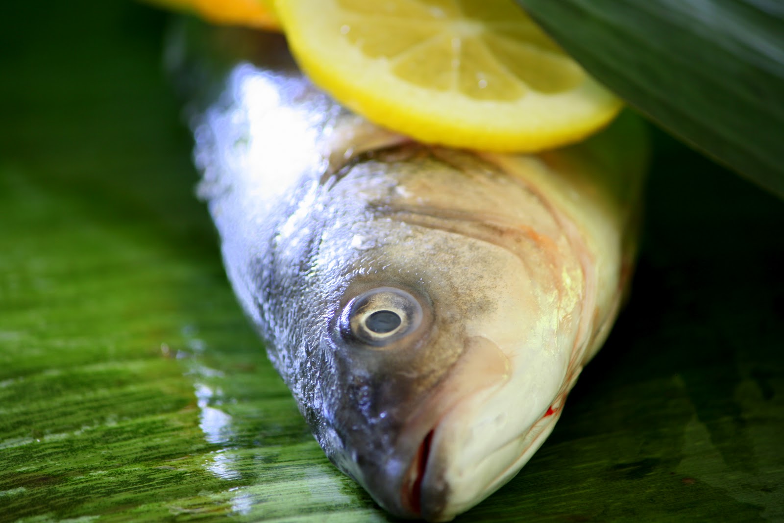 What's Cooking in your World?: Day 191! Vanuatu- Citrus Baked Fish in ...