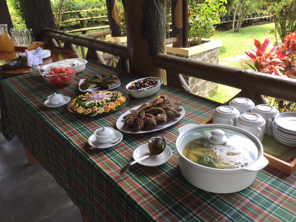 Balay Buhay sa Uma: A Delightful Farm Life