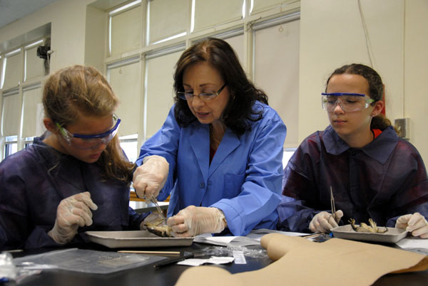 TMLA Talk - Fidem Servavi