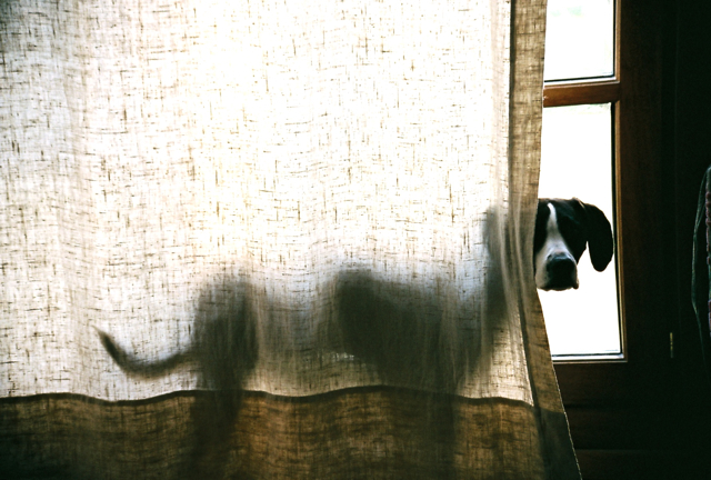 spain daily: random film shots