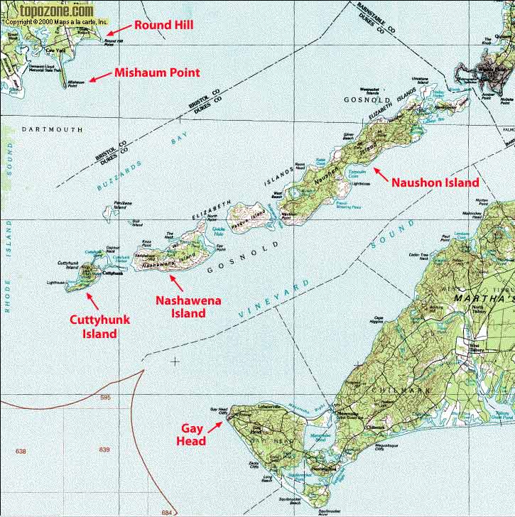 Where the Gold Is: The Untitled Aristocracy