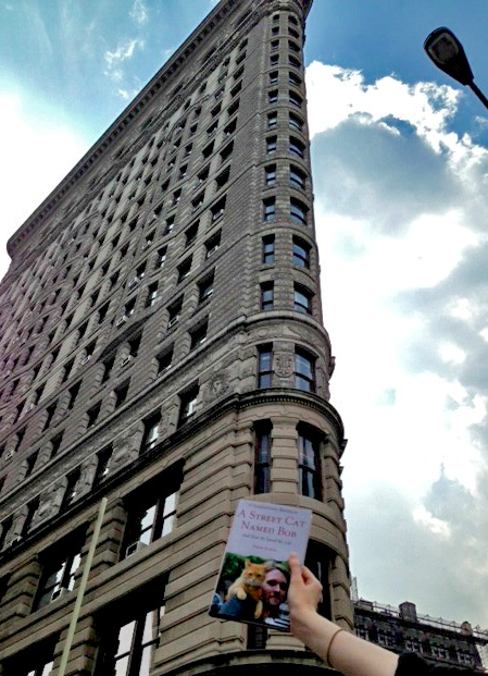 Around The World In 80 Bobs: Bob inside and outside the Flatiron ...