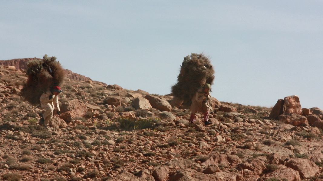Notre tour du Maroc 2014: 22 mars - du Todra à Goulmima via Assoul
