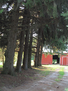 Somers Wisconsin Pioneer History: Beautiful Wisconsin