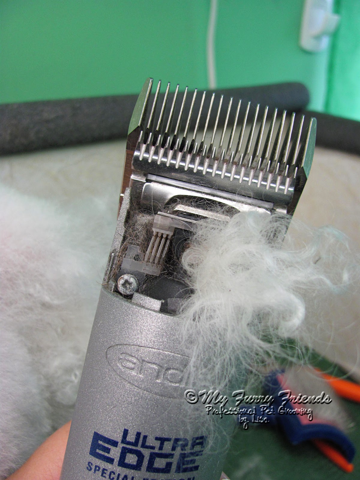 Pet Grooming: The Good, The Bad, & The Furry: Clipper Problems Continued