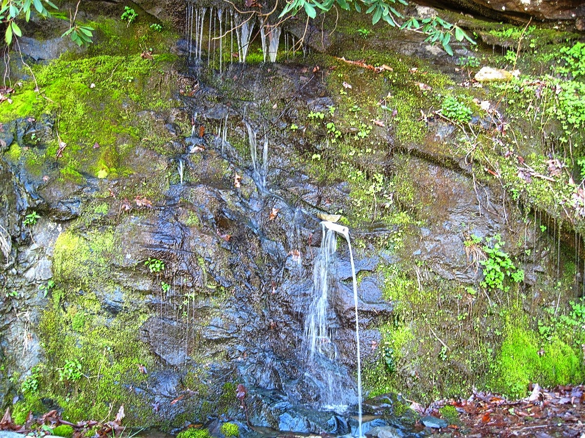 Gary's Outdoor Wanderings2: SEARCH FOR MAX PATCH