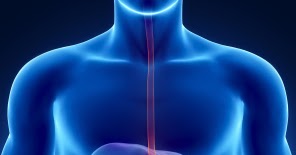 CHOY's CUT: How Slow Digestion Helps Keep You Healthy